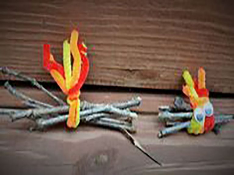 Camp Swaps – friendshipswaps.com